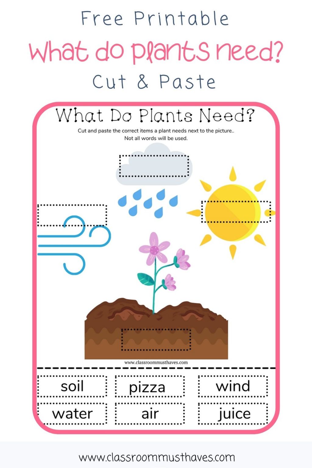 What Do Plants Need to Grow Worksheet - Classroom Must Haves